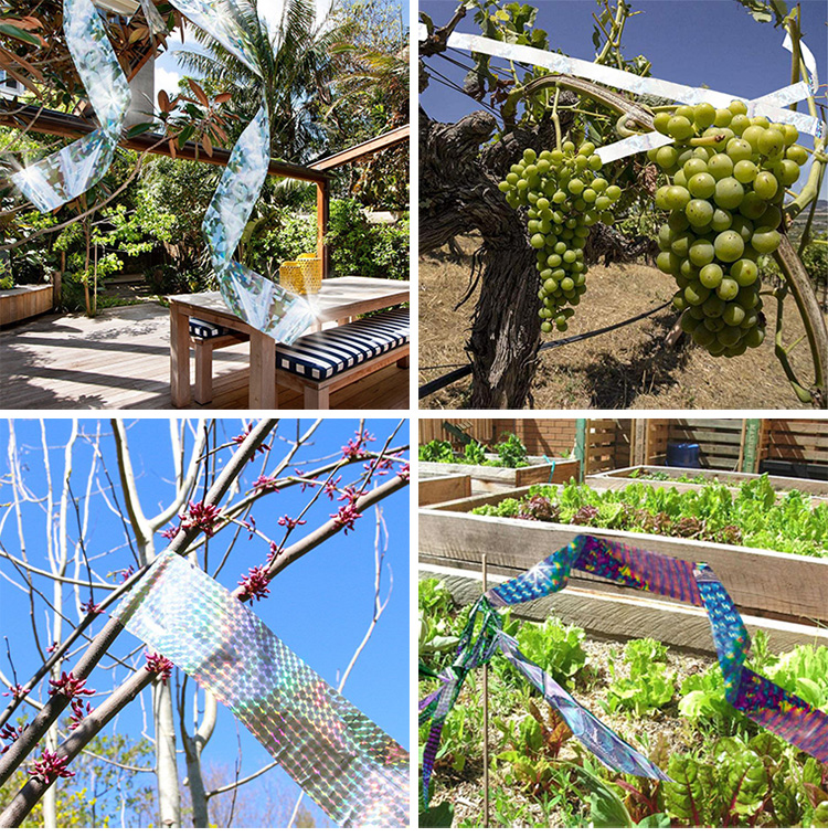 Bird Deterrent Scare Tape with Bird Control Device Reflective